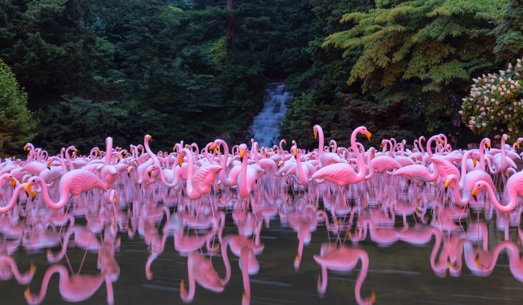 Ramandu's Table - Bristol Light Festival